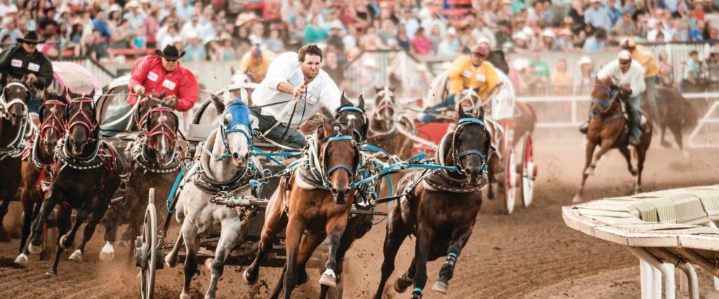Calgary Stampede - World Travellers Motueka